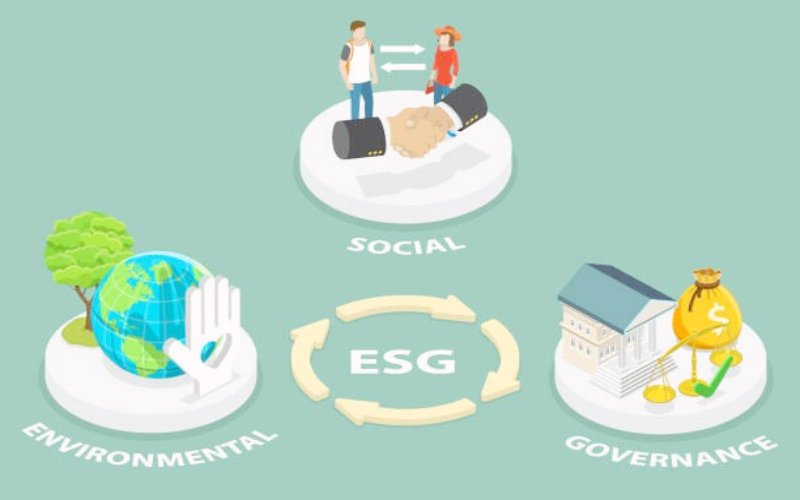 The Role Of ESG Consulting In Sustainable Business Practices - Digital ...