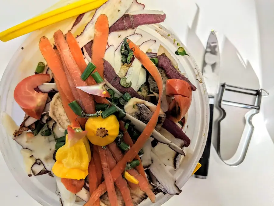 How To Start A Compost Pile: Turning Kitchen Waste Into Garden Gold ...