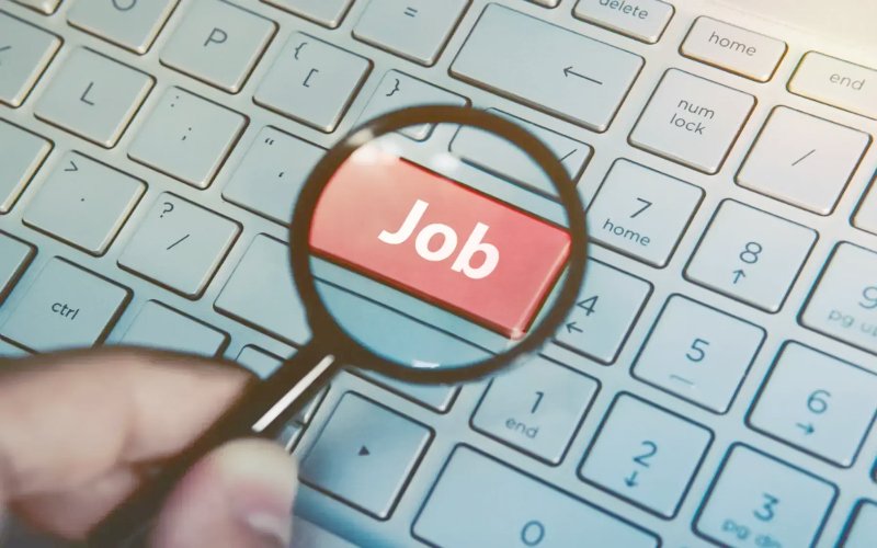 Exploring Jobzvice.com: Your Go-To Platform For Job Search - Digital ...