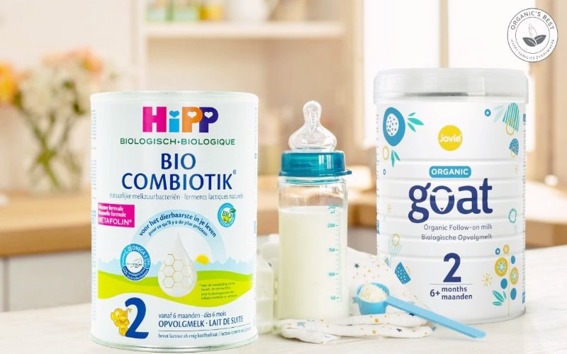 Best Organic Cow Milk Formula Options For Babies - Digital Global Times
